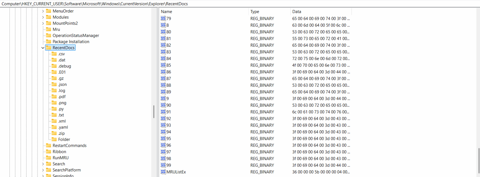NTUSER.DAT Forensics Analysis 2025 - Cyber Triage